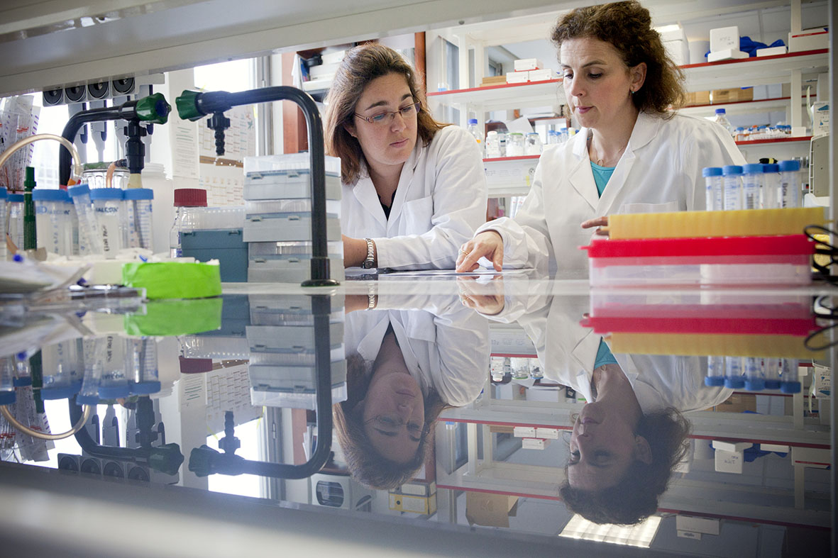 DMD: efficacy of gene augmentation therapy through a pre-treatment with ...